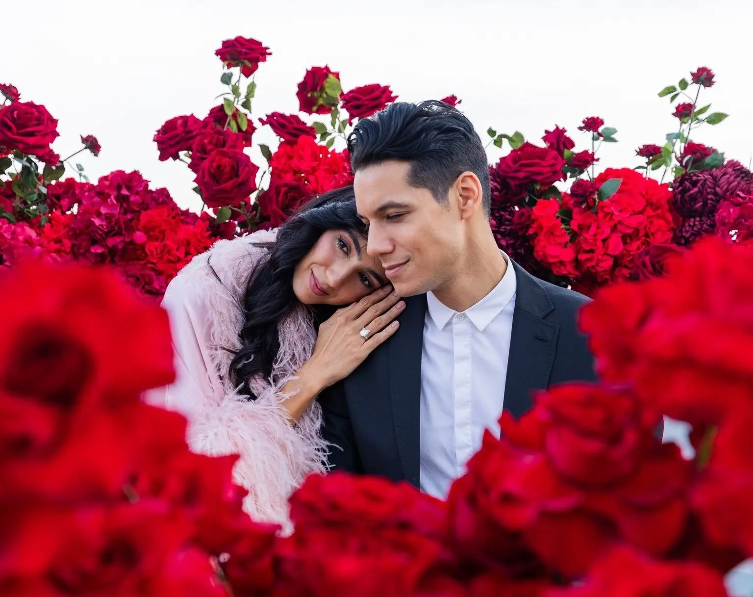 Products | Bliss UAE